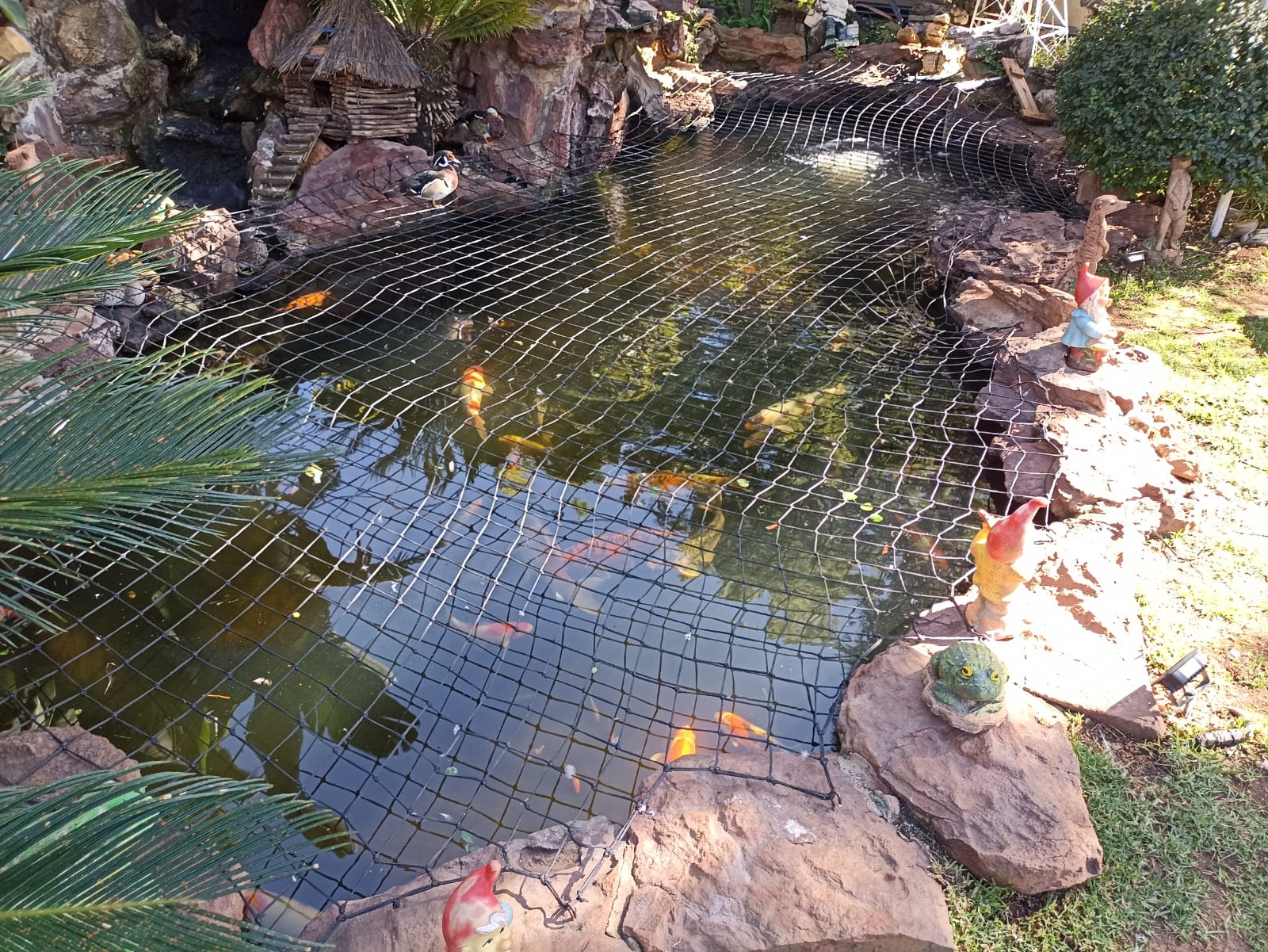 Pool Portfolio | Pool X