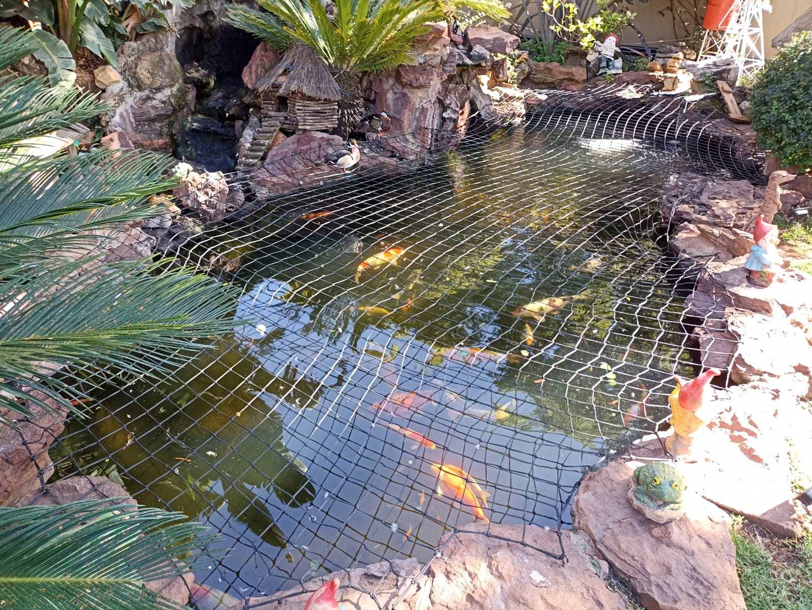 Pool Portfolio | Pool X