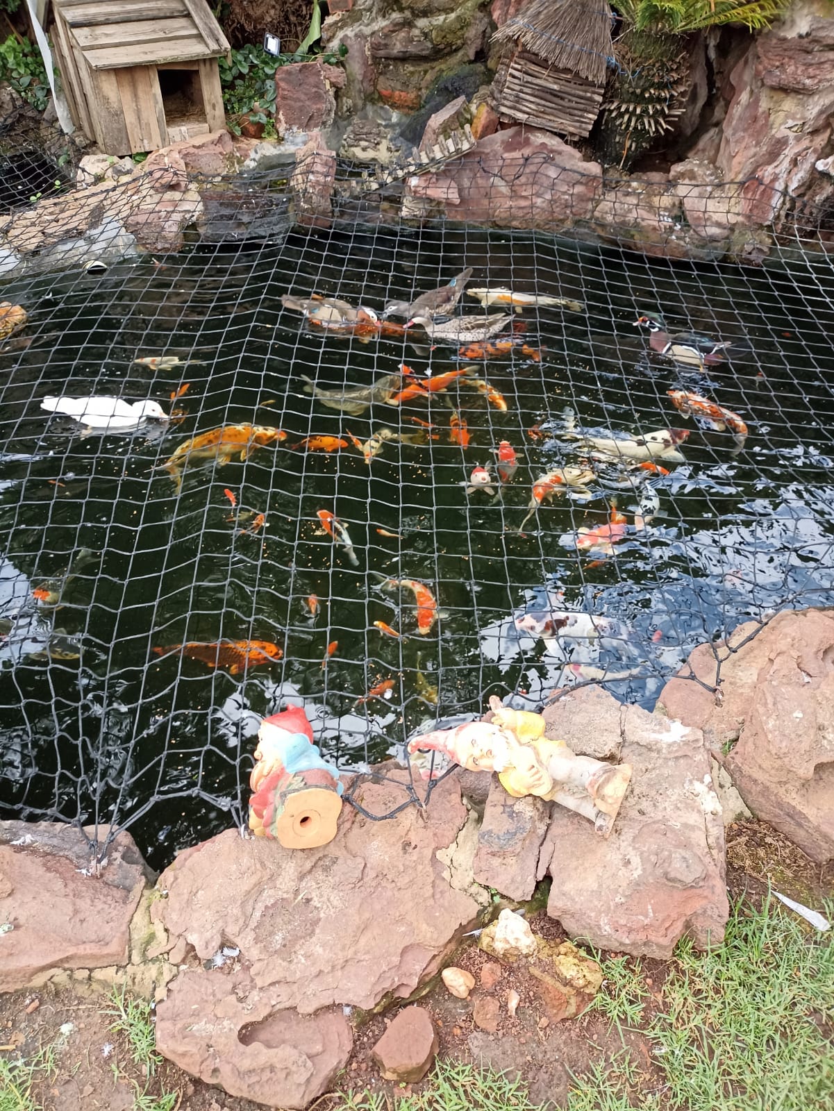 Pool Portfolio | Pool X