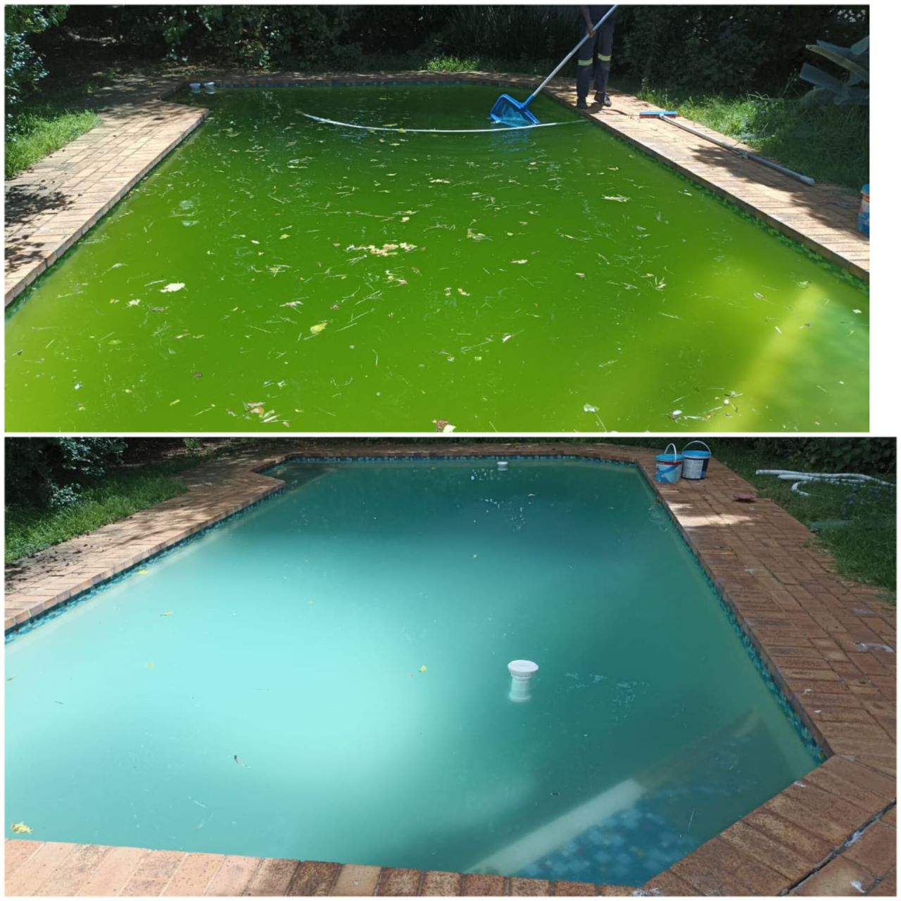 Pool Portfolio | Pool X