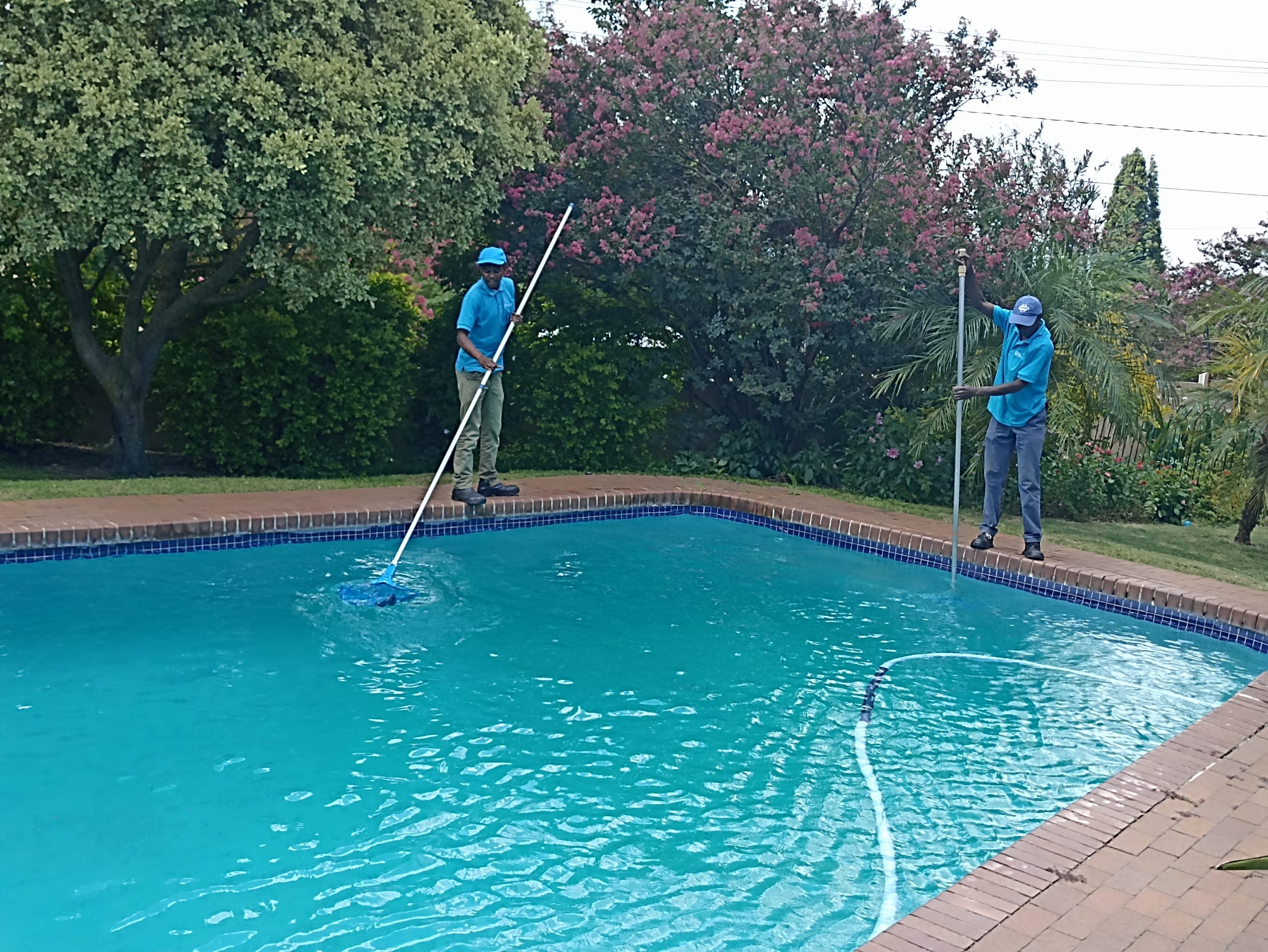 Pool Portfolio | Pool X